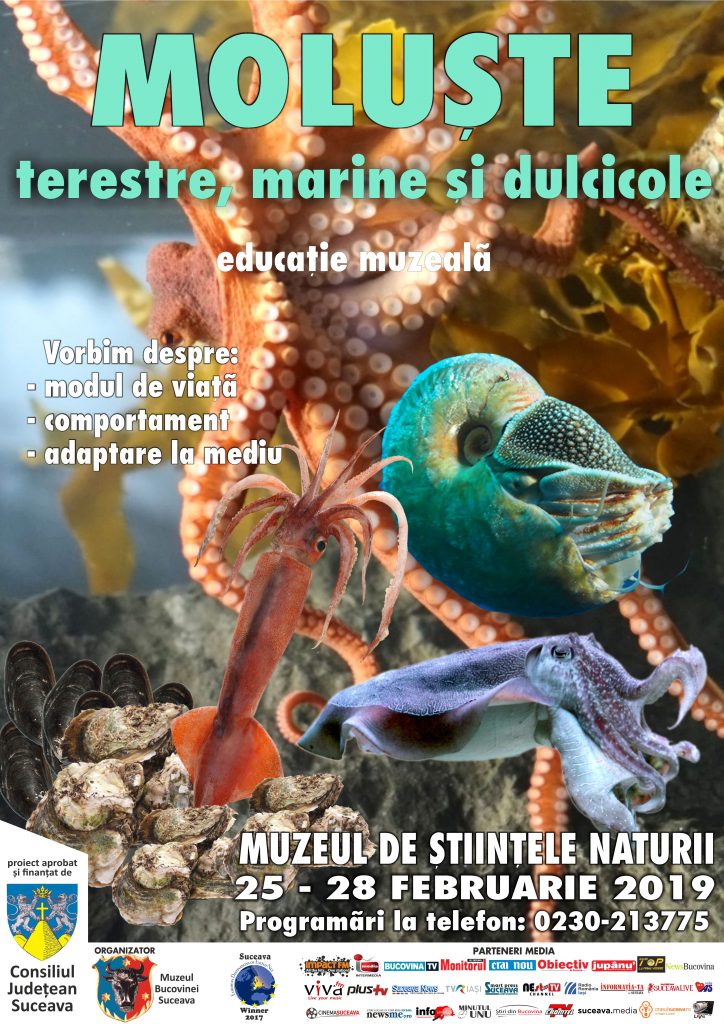„Moluște- marine, terestre și dulcicole, din România și străinătate ...